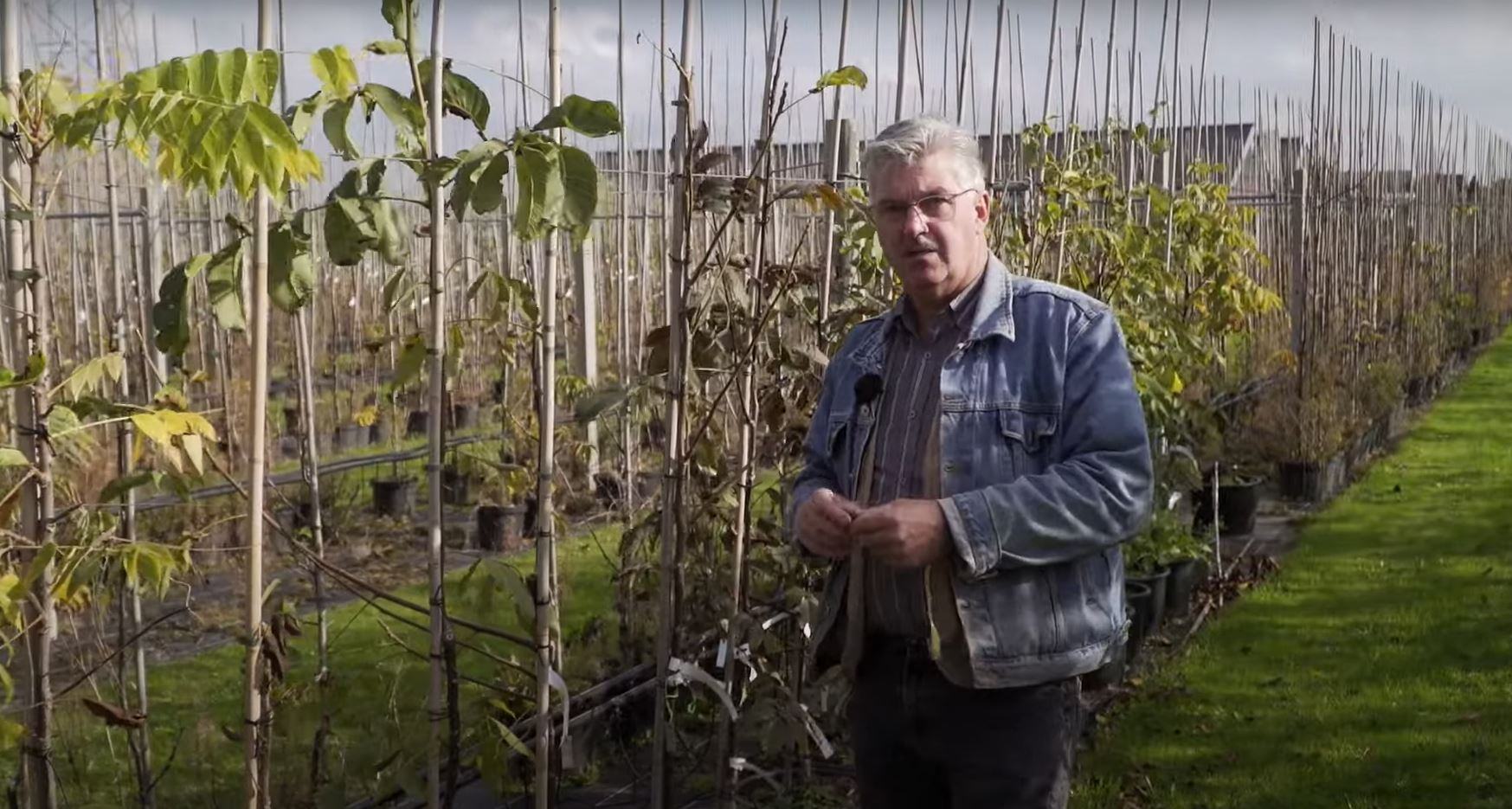 eAccounting voor Ondernemers. Omdat we van boekhouden!